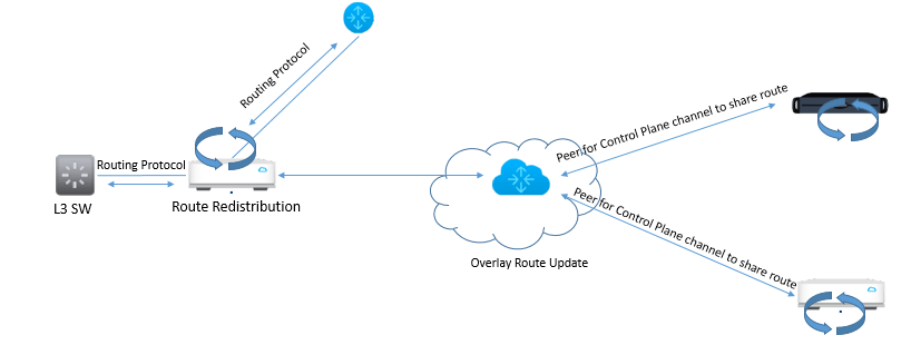 Velocloud Traffic Forwarding | SD-WAN VeloCloud Traffic Flow - DCLessons